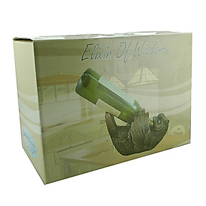 DWK Corporation DWKHD41465 Owl Wine Holder (Set of 1)