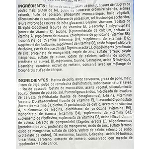 Royal Canin Size Health Nutrition Small Starter Mother And Babydog Dry Dog Food, 2 Lb