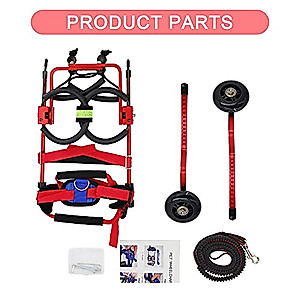 HobeyHove Adjustable Dog Wheelchair for Back Legs，Pet/Doggie Doggy Wheelchairs with Disabled Hind Legs Walking (XS-Red)