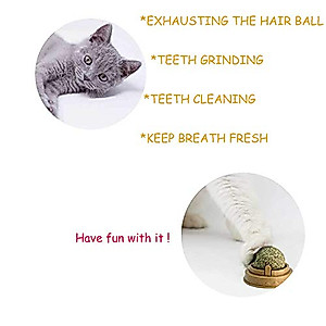 2 pcs Catnip Balls, Pure Natural Mint Leaf Rotating Interactive Cat Toys, Cat Removal Hairball Toys Can Be Sticky On Wall, Teeth Cleaning Catmint Toy for Cat, Kitten, Kitty Playing Chewing