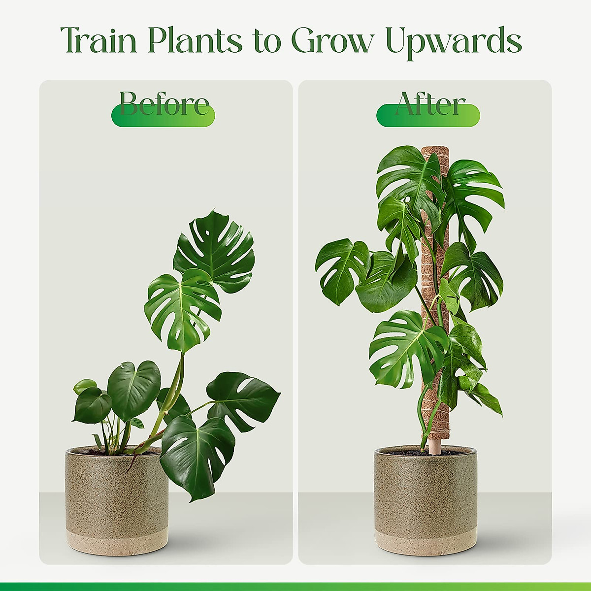 Pisol Moss Pole for Plants Monstera, Extendable Plant Sticks Support, Plant Stakes for Indoor Potted Plant, 15.7'' Coco Coir Pole Plant Trellis for Sphagnum, Pothos and Other Climbing Plants(2 PCS)