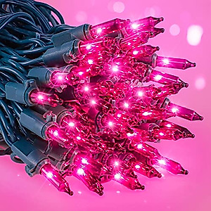 woohaha Outdoor Halloween Lights, 2PACK 13ft 50 Count Incandescent Blubs & Green Wire Mini Lights, 120V High-Voltage Connectable Light String, for Indoor Patio Garden Tree Party Decoration, Purple