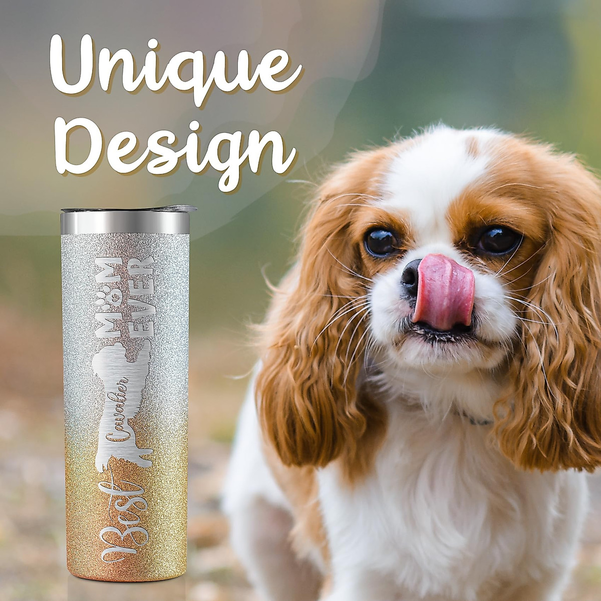 Onebttl King Charles Cavalier Gifts for Women, Unique 20oz Cavalier Tumbler with Lid and Straw, Cavalier King Charles Spaniel Gifts for Cavalier Lovers - Silver Gold