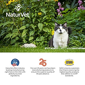 NaturVet Hemp Allergy Aid Plus Hemp Seed Soft Chews for Cats, 60 ct, Made in The USA