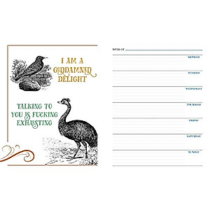 Effin' Birds Undated Monthly/Weekly Planner Calendar: A Field Guide to Identification