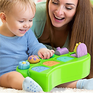 Pop Up Cause and Effect Toy - Toys for 9 Month Old +, Baby Toys, Early Developmental Toddler & Kids Gift - Toys for 1 Year Old Boy & Girl, Birthday, Montessori 12 Months to 1 2 3 Years