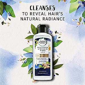 Herbal Essences Bio Refresh Blue Ginger, 13.5 Fl Oz