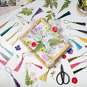 81 Pcs DIY Transparent Dried Flower Bookmark Set Include 20 Clear Bookmarks 40 Dried Flowers 20 Colorful Tassels and Tweezer Handmade Dried Floral Bookmark for Reader School Book Bottle Supplies