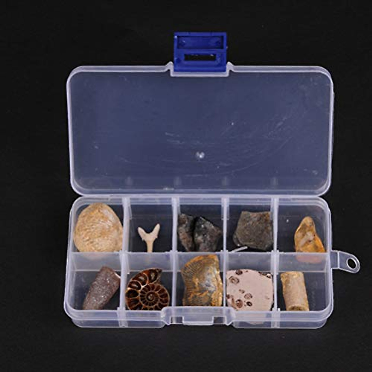 Hemobllo Fossil Specimens Collection Set, 10PCS Paleontology Fossil Specimens, Trilobite Amber Fossil Educational Science Kits, Creative Science Decoration Stone