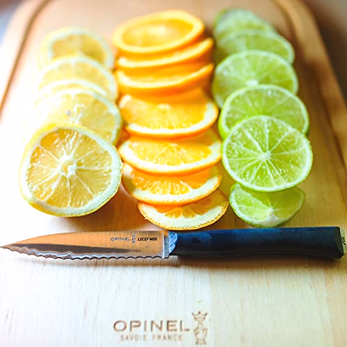 Opinel Intempora 4 Inch Serrated Paring Knife, Serrated High Carbon Steel Blade, Easy to Handle, Full Tang Construction, Ideal for Cutting Tough Skins, Made in Portugal