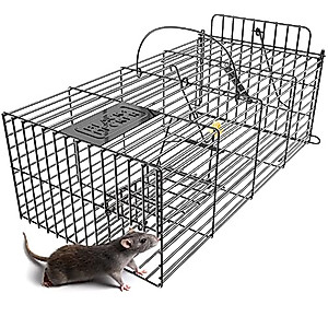 BLACK+DECKER Rat Trap- Rat Traps Indoor & Outdoor- Humane Mouse Trap Cage- Live Animal Trap for Squirrels Chipmunks and Other Small Rodents- Catch and Release No Kill Mouse Traps