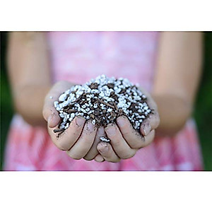 Organic Earth Carnivorous Plant Soil Mix 1 QT - Plant Food Peat Moss & Perlite for Carnivorous Plants - Terrarium Soil, Pitcher Plant Soil, Venus Fly Trap Soil