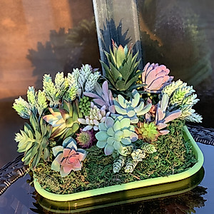 Daxi Events Artificial Succulents, 17 Pack Fake Succulents, Unpotted Faux Succulents， Realistic Textured Succulent Plants, Large Artificial Succulent Plants Bulk Decor Table Home Office Garden