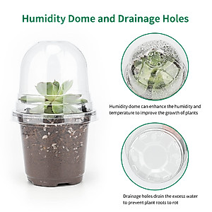 KINGLAKE 32 Pcs 4" Clear Plastic Plants Nursery Pots with Humidity Dome Seedlings Flower Plant Container Seed Starting Pots with 10 Pcs Plant Labels