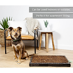 Bark Potty Disposable Training Pads, Multi Use Leak-Proof and Odor Control Puppy Pee Pads | 30 x 20 Standard Pee Pads for Dogs | Natural Bark Potty Pads for Dogs - Dog Housebreaking & Puppy Supplies