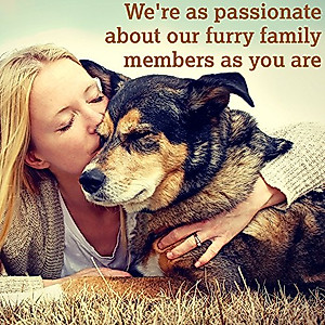 Caru Classics Chicken Stew for Dogs, Natural Adult Wet Dog Food With Added Vitamins & Minerals, Free From Grain, Wheat And Gluten (Case of 12)