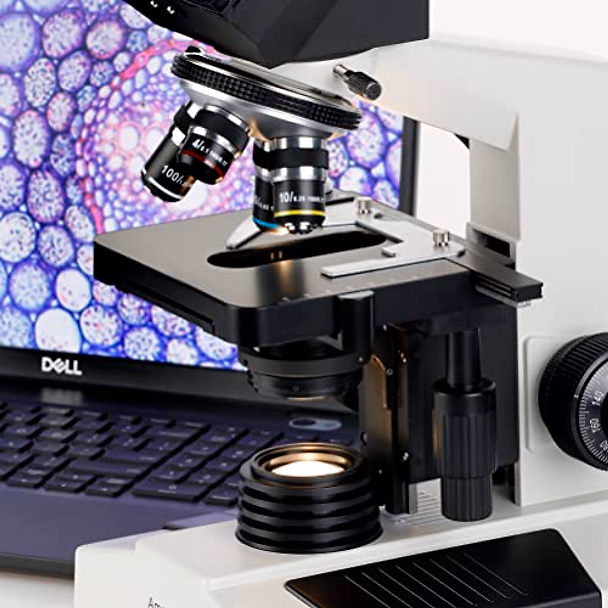 AmScope T390B-3M Digital Professional Compound Trinocular Microscope, 40X-2000X Magnification, WF10x and WF20x Eyepieces, Brightfield, Halogen Illumination, Abbe Condenser, Double-Layer Mechanical Stage, 110V-220V Auto-Switching, Includes 3MP Camera with