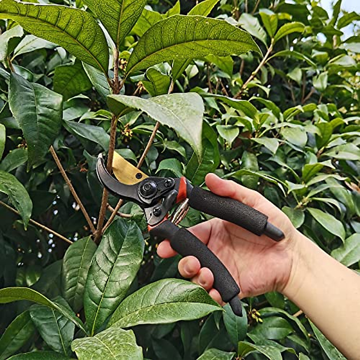 Lopper Hedge Shear & Pruner Combo Set, YRTSH 3-Piece Gardening Tool, Heavy Duty Tree & Shrub Care Kit for Yard, Garden & Lawn, Professional Hedge Clippers Tree Trimmer for Indoor & Outdoor Gardening