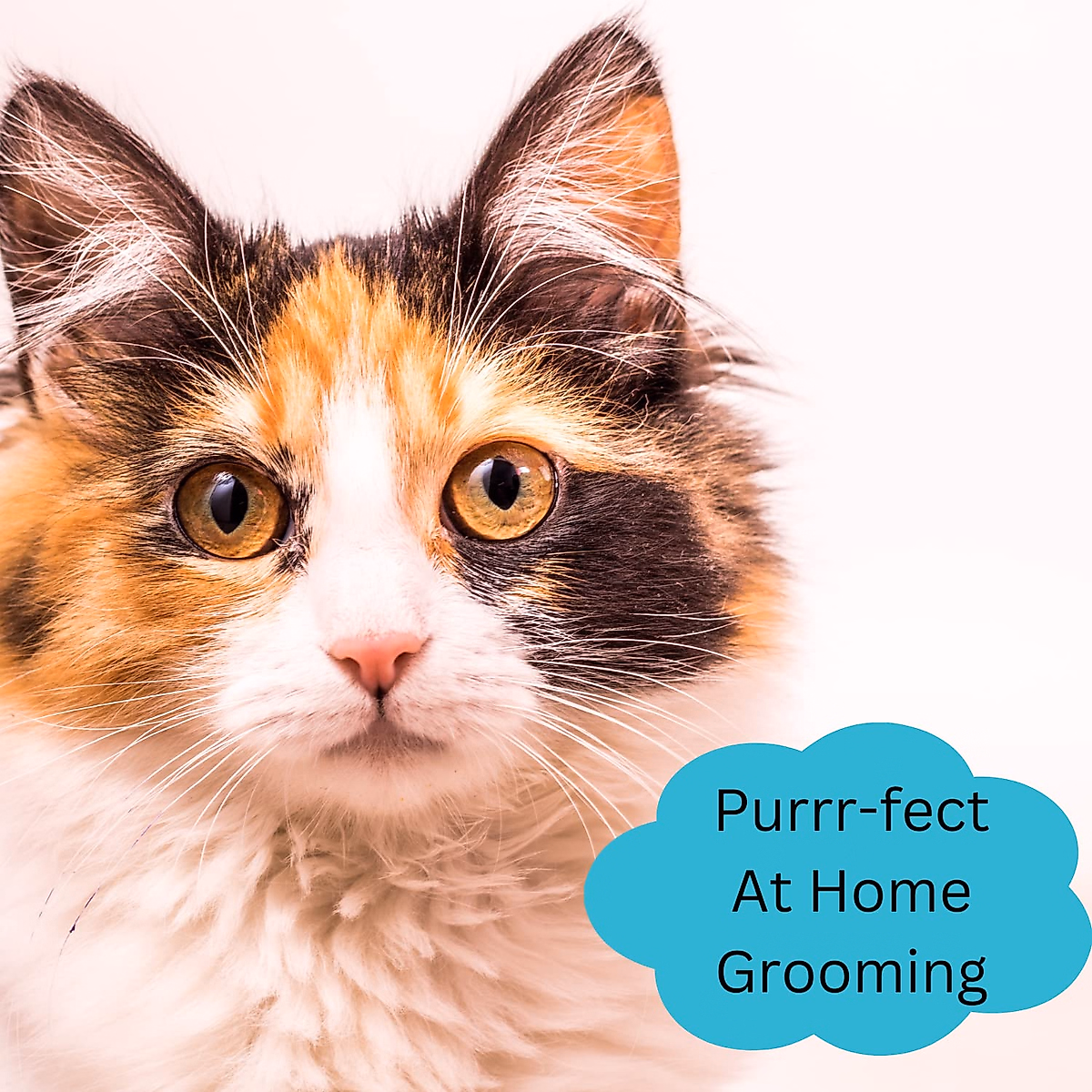 Mighty Mutt Bamboo Pet Toothbrush – Double-Sided Dog Toothbrush | Easy to Use for Dog Teeth Cleaning | Pet Friendly | Soft, Gentle Dog Tooth Brush for Any Size Breed – 4 Pack