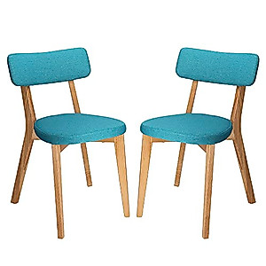 Fishat Pink Simple Double Rod Garment Rack & SAH Solid Wood Dining Chair Set of 2