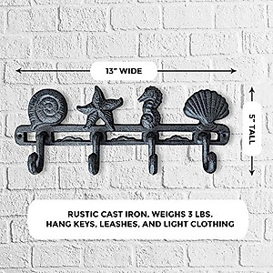 Wallcharmers Rustic Seashell Hooks | Keys, Leashes, & Outdoor Towel Holder