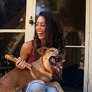 LEAFICO Bamboo Toothbrush with Travel Case - Dental Floss - Tongue Scraper - Premium Eco-Friendly Toothbrushes - Charcoal Infused Soft Bristles for Natural Whitening - BPA Free - Vegan Zero Waste Gift