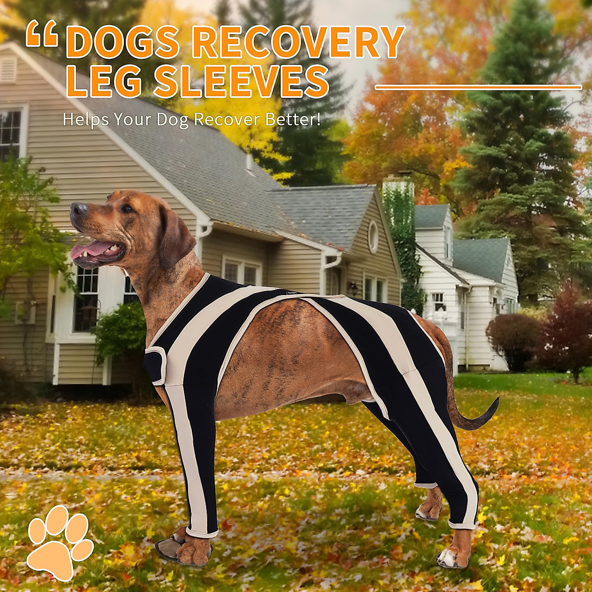 Dog Surgery Recovery Suit, Cone Collar Alternative, Provides Elbow and Knee Protection for Four Legs, Soft and Breathable, Prevents Pet Wounds from Licking and Biting, Helps Wound Healing, L