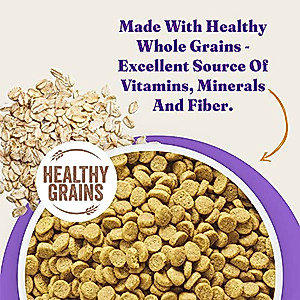 Halo Holistic Cat Food Dry, Wild-caught Salmon and Whitefish Recipe, Complete Digestive Health, Dry Cat Food Bag, Adult Formula, 3-lb Bag