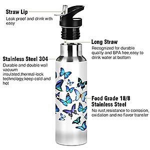 Kcldeci Blue Butterfly Sports Water Bottle 20 Oz Straw Lid Leak Proof Vacuum Insulated Stainless Steel Water Bottles Hot Cold Double Walled Thermo Mug Tumbler Travel Cup