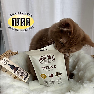 Hemp Well Thrive Cat Soft Chews - 60 Count, Everyday Supplement for Overall Health, Supports Hip, Joint, Heart Health, Organically Sourced, Omega 3 for Cats, Natural Cat Treats & Supplements