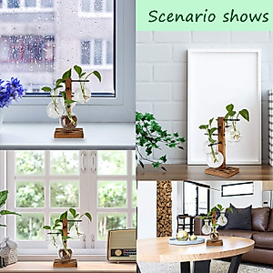 PAG Plant Terrariums Kit Desktop Hydroponics Air Planter Holder with 4 Bulb Beaker Glass Vase and Solid Wood Stand for Home Office Decoration Gift for Women