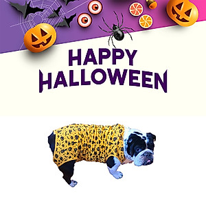 Mairbero Dog Surgery Recovery Suit Female/Male - Onesies for Dogs After Surgery Spay Surgical,Recovery Suit for Dogs Cats After Surgery,Substitute E-Collar & Cone Prevent Halloween