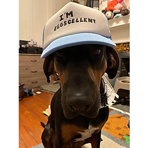 I'm Eggscellent Trucker Hat The Regular Show Cap Rigby Mordecai TV Show Costume Blue