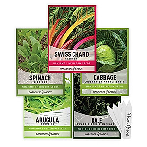Power Greens Seeds for Planting Individual Packets 5 Variety Pack - Arugula, Spinach, Swiss Chard, Kale, Cabbage Seeds for Your Heirloom Salad, Winter, Fall and Cool Weather Garden by Gardeners Basics