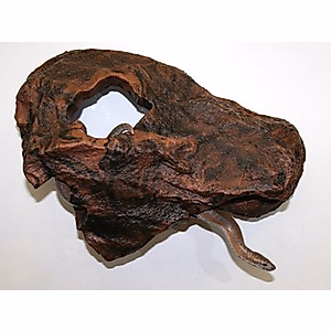 Magnaturals Medium Hideaway Earth - Magnetic Deco