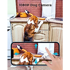 LaView Indoor Security Camera, Baby Monitor with Sound/Motion Detection and Night Vision,WiFi Camera Home Pet Dog Surveillance Camera with App,Two-Way Audio,360-degree IP Camera Work with Alexa