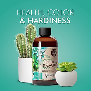 Organic Succulent & Cactus Plant Food - Gentle Liquid Fertilizer Nutrients for Aloe Vera and Other Common Indoor and Outdoor Succulents & Cacti (8 oz)