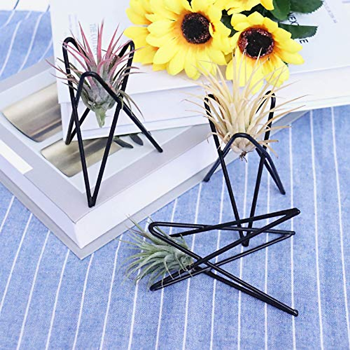 Pack of 4 Air Plant Holder Tillandsia Base, Modern Geometric Metal Air Plant Stand Airplant Display Rack, Tabletop Big Streptophylla Plant Display Table Hand for Home Office Decoration Supplies