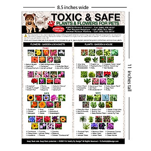 TLC Safety By Design Premium Toxic and Safe Plants & Flowers Poison for Pets Dogs Cats Emergency Large Format Veterinarian Approved Refrigerator Safety Magnet 8.5” x 11”