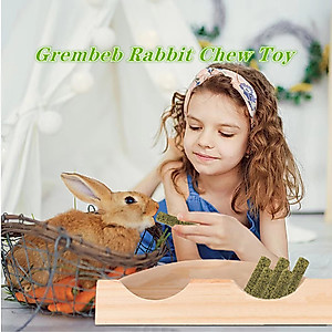 GREMBEB Rabbit Toys,Timothy Hay Stick for Guinea Pig Toy Bunny Chew Toys for Teeth Grinding Hamster Alfalfa Bite Treat Rabbit Molar Food Snack for Pet Rat Chinchilla Squirrel Gerbil-58PCS