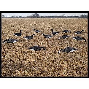 Top Down Decoys Silhouette Goose Decoy CV246 - Canada Goose Decoy 12pcs - Vertical Silhouette Goose Decoys