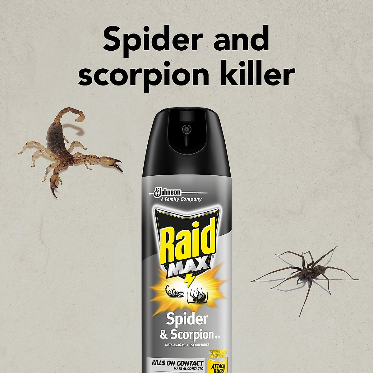 Raid Spider and Scorpion Killer, Kills spiders, scorpions, roaches, ants, Waterbugs, earwigs, 12 Oz