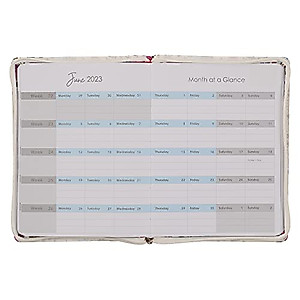 Christian Art Gifts 2023 - 18-Month Women's Faux Leather Personal Planner with Zipper Closure: His Mercies Are New Every Morning - Lamentations 3:22-23, Aug 2022-Jan 2024, Multicolored Floral, Large