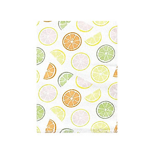 Hudson Baby Unisex Baby Cotton Flannel Burp Cloths Bundle, Citrus Orange, One Size