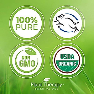 Plant Therapy Organic Oregano Essential Oil 100% Pure, USDA Certified Organic, Undiluted, Natural Aromatherapy, Therapeutic Grade 100 mL (3.3 oz)