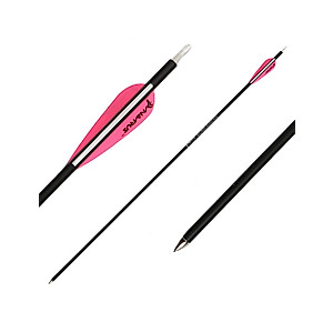 PANDARUS Archery Carbon Arrows 28-Inch Safety Beginner's Target Practice for Compound & Recuve Bow - (Pack of 12) Pink