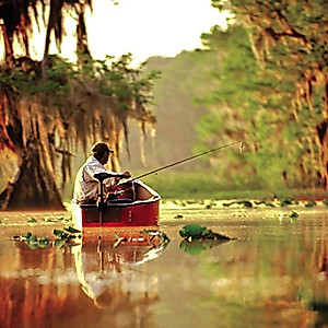 Minn Kota Endura C2 55 Freshwater Transom Mounted Trolling Motor (42" Shaft)