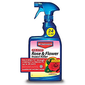 BioAdvanced 502570B Dual Action Rose & Flower Insect Killer Insecticide, 24-Ounce, Ready-to-Use & 701290B Insecticide Fungicide Miticide 3-in-1 Insect, Disease & Mite Control, 24 Oz