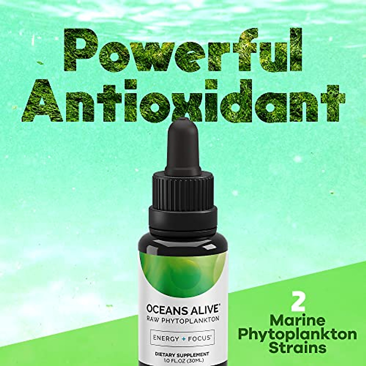 Chlorophyll Algae Supplement, Chlorophyll Marine Phytoplankton by Activation Products 1 Month Supply | Oil Memory and Focus Mineral Trace Supplements - Microalgae Oil for Energy and Stress - 30 ml