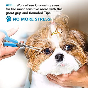 BOSHEL 2 Pc Dog Grooming Kit - Dog Grooming Scissors with Round Tips - 6" Micro Serrated Puppy Trimming Scissor For Face, Ear, Nose & Paw + 7" Pet Grooming Shear cutting more Hair - Dog Scissors Set